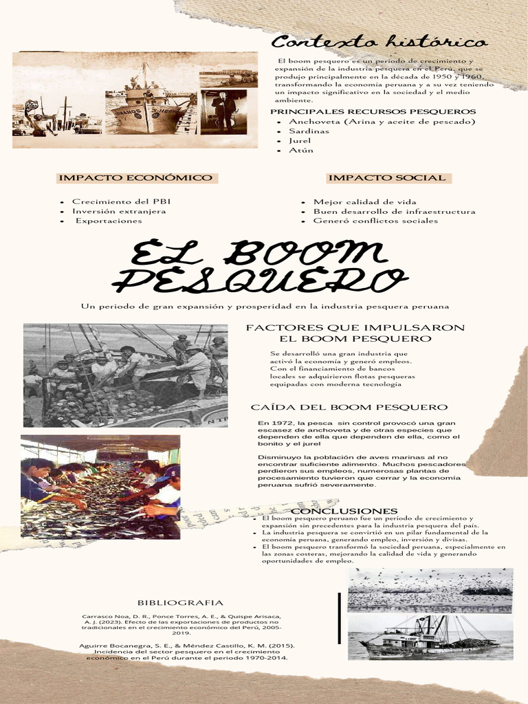 Infografia - Boom Pesquero | PDF