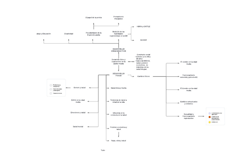 Desarrollo Físico y Cognoscitivo en La Adultez Media | PDF