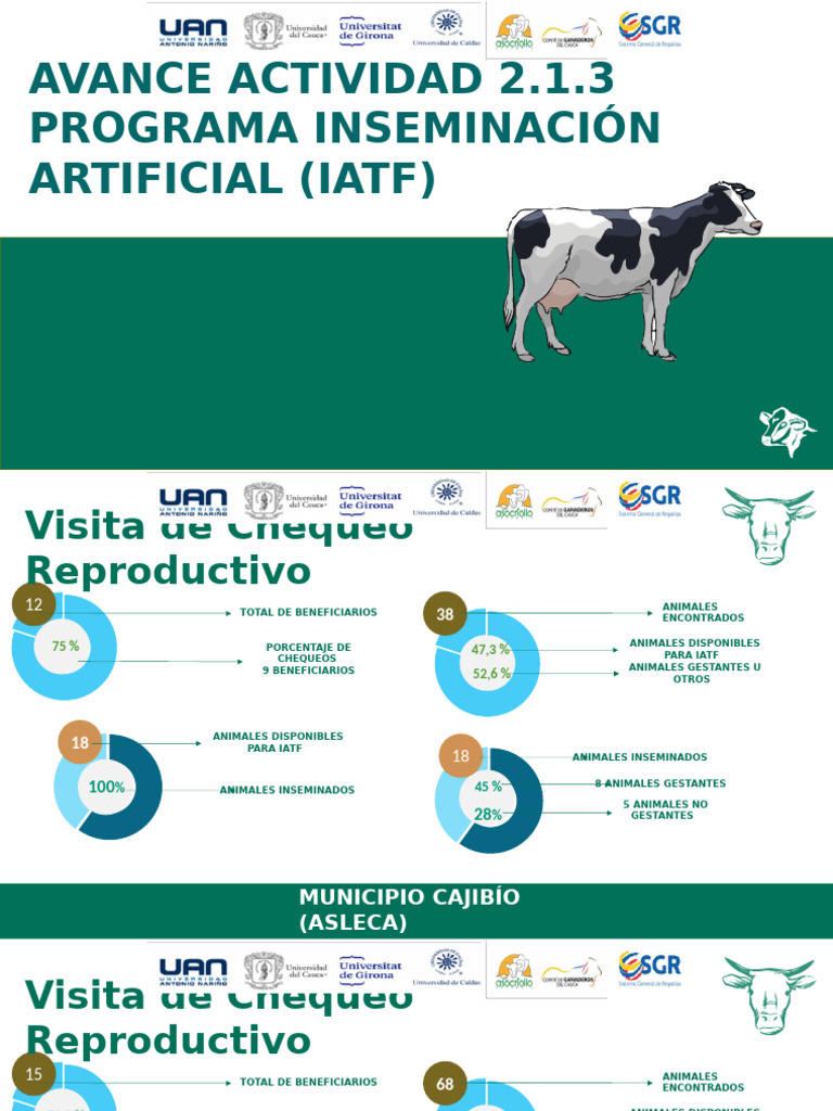 Avances Programa Iatf | PDF