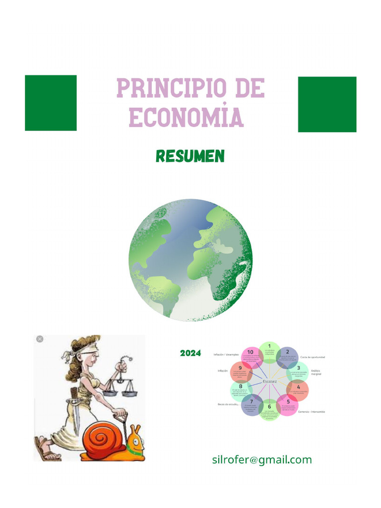 Resumen Principio de Economia | PDF