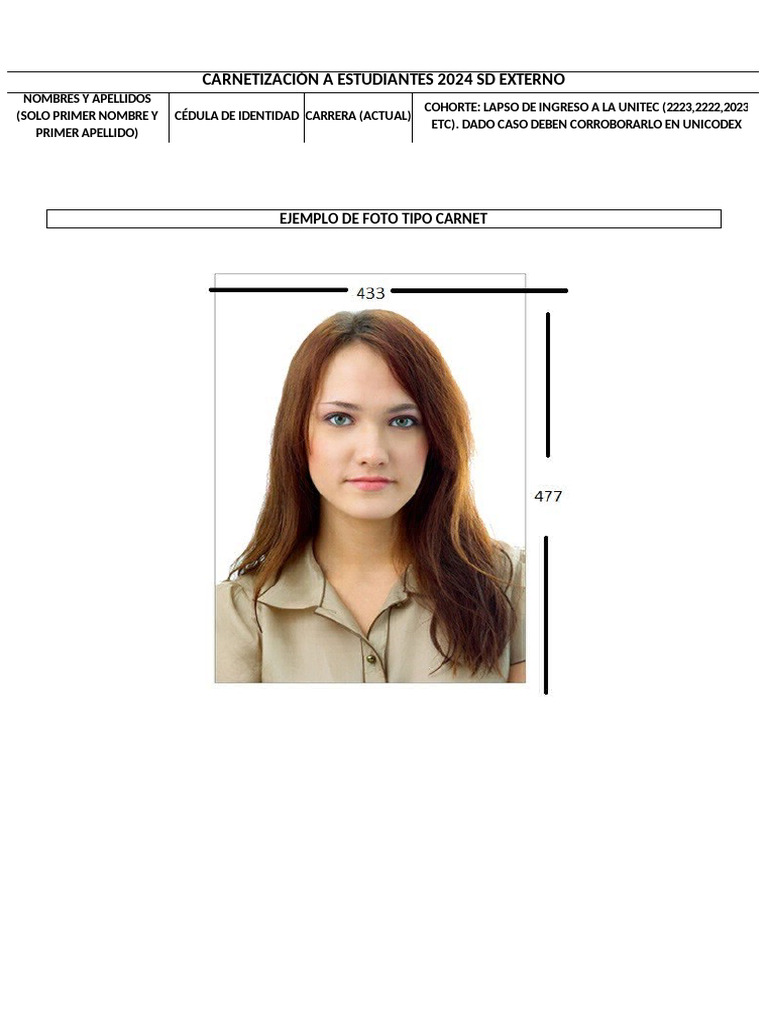 Requerimientos Para El Carnet (1) | PDF