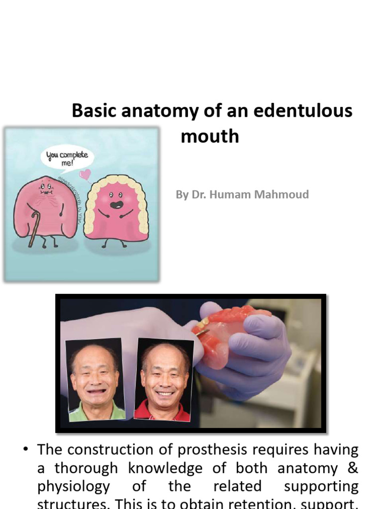 Anatomy of Edent Mouth | PDF