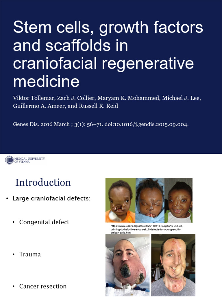 Stem Cell Scaffold | PDF