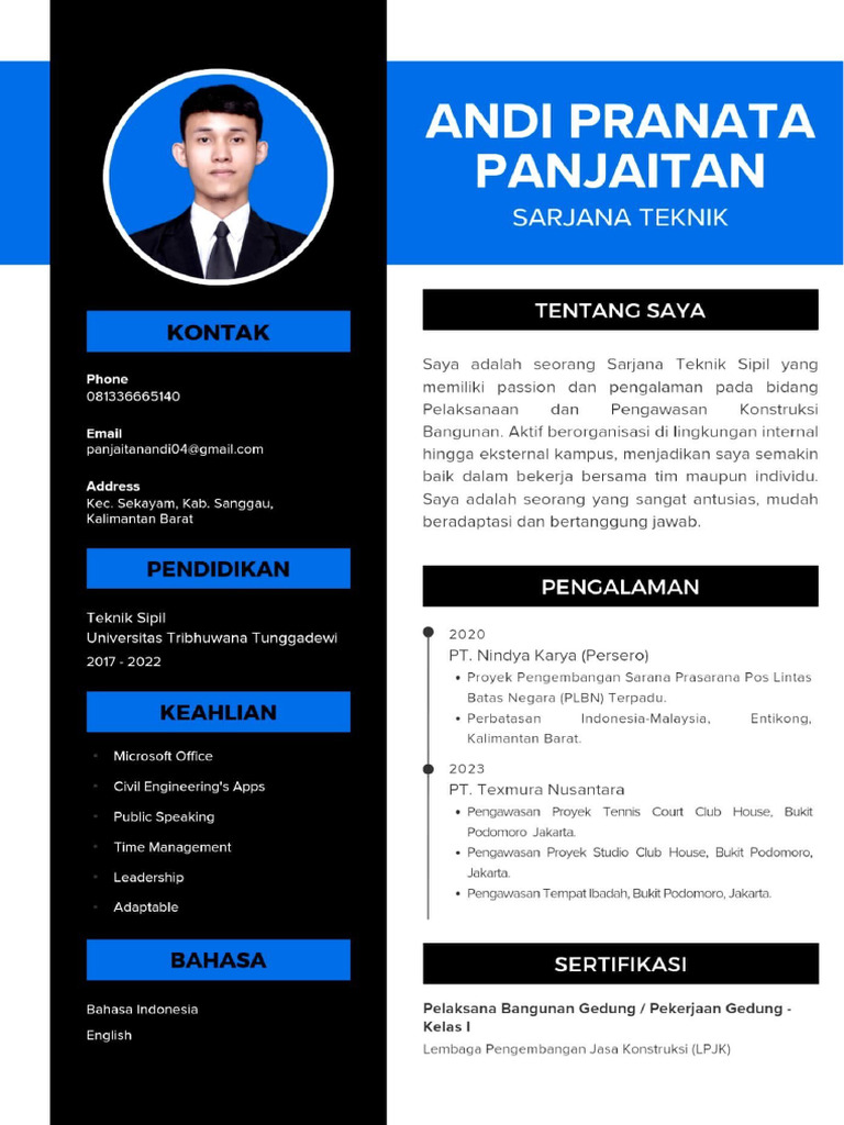 Cv. Andi Panjaitan | PDF