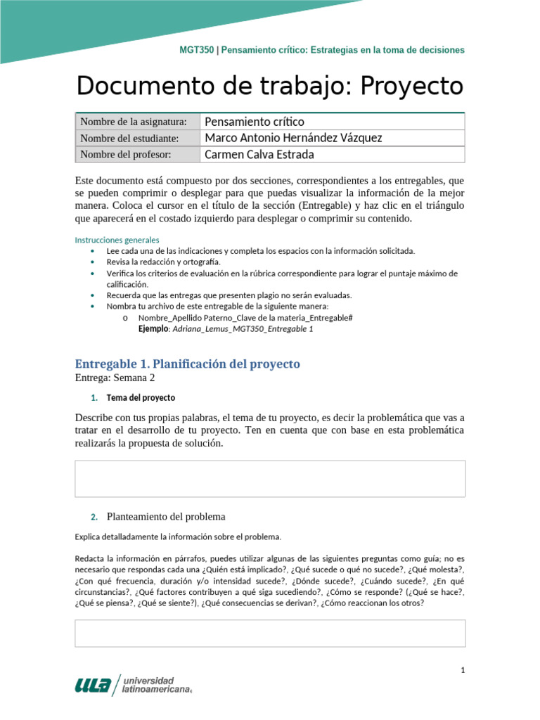 MGT350 - Documento de Trabajo - Proyecto-V2 | PDF
