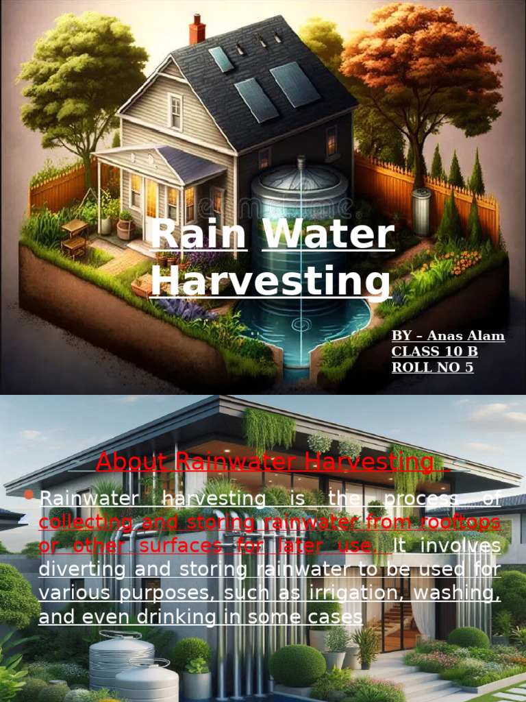 Class X Geo Project Anas Alam | PDF