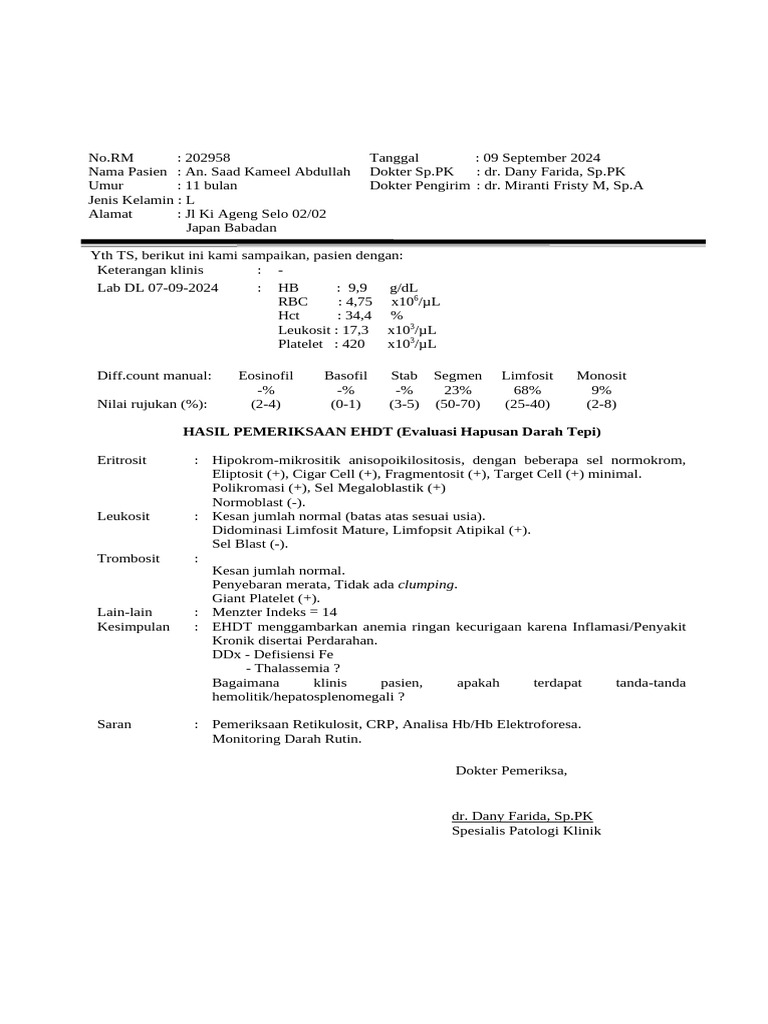 Saad Kameel Abdullah, An NN | PDF