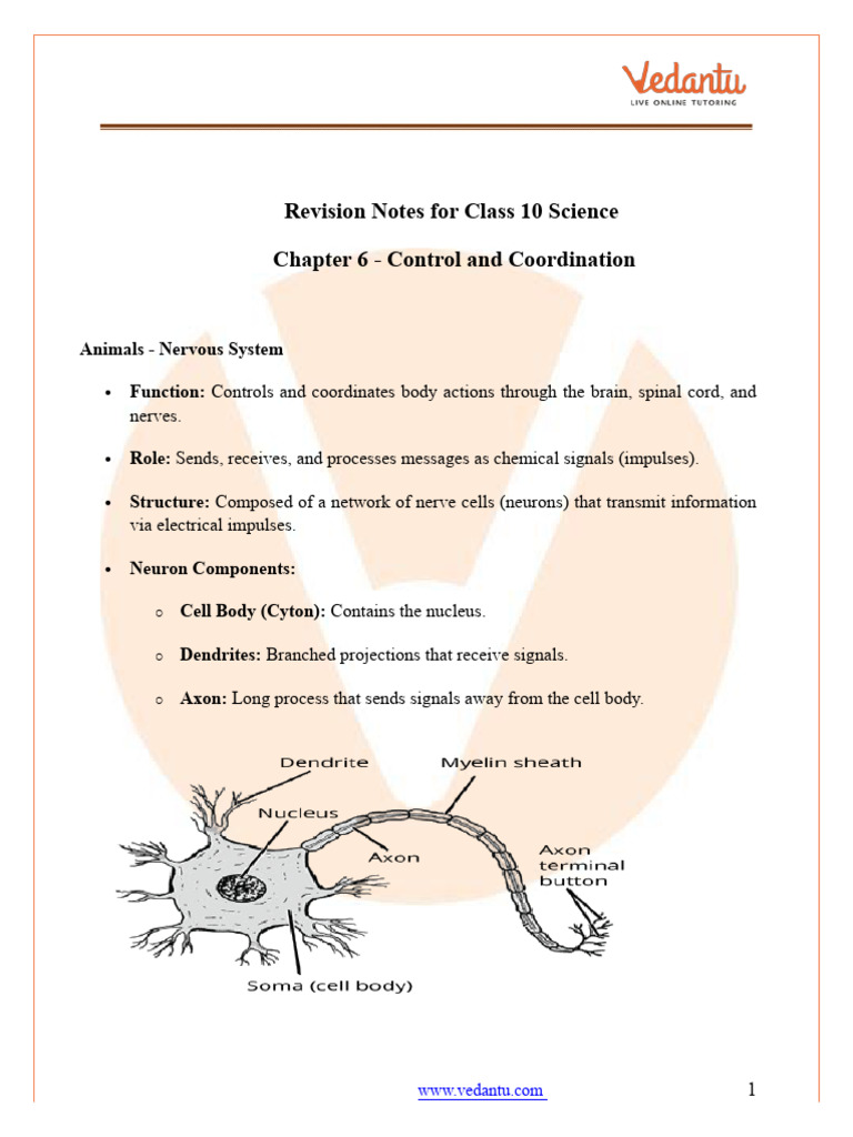 Get Control and Coordination Class 10 Notes PDF For FREE | PDF