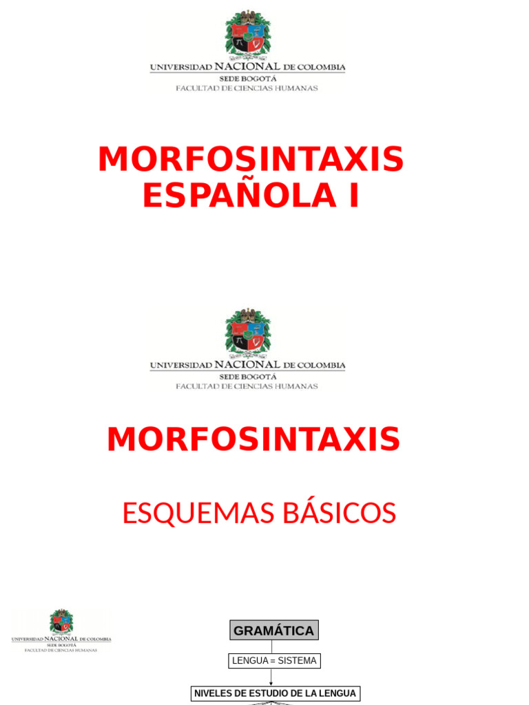 Morfosintaxis Española | PDF