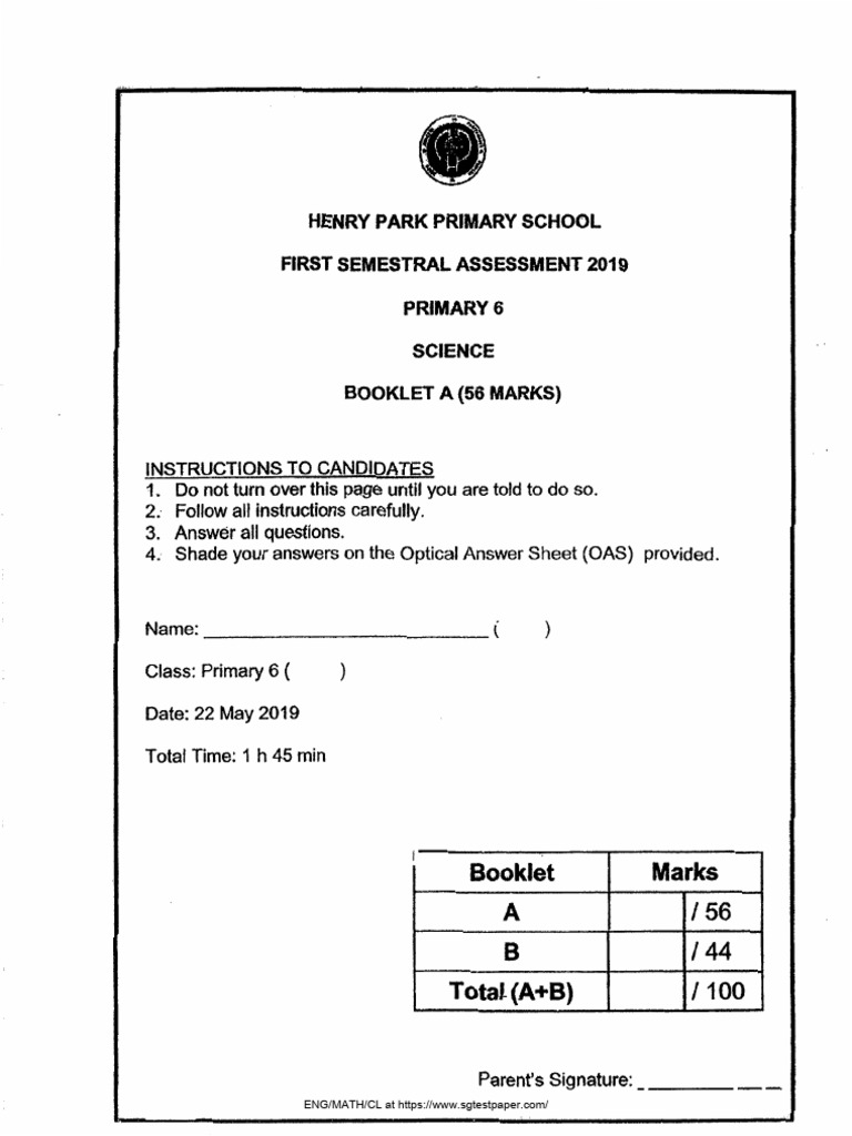 P6 Science SA1 2019 Henry Park Exam Papers | PDF