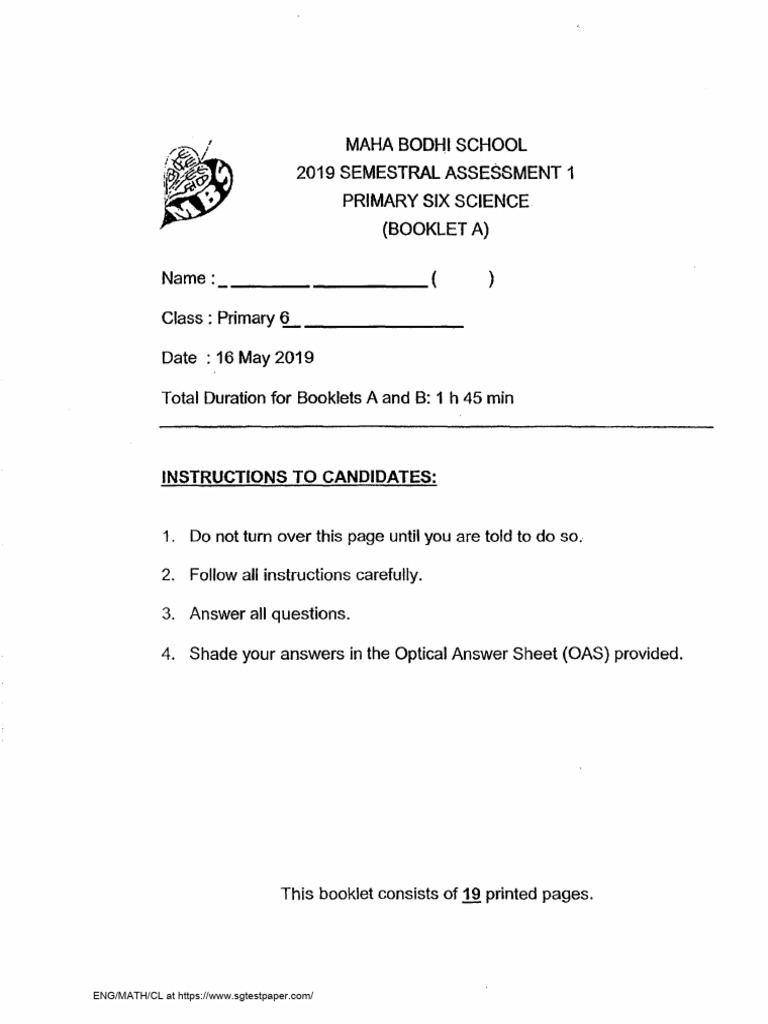 P6 Science SA1 2019 Maha Bodhi Exam Papers | PDF