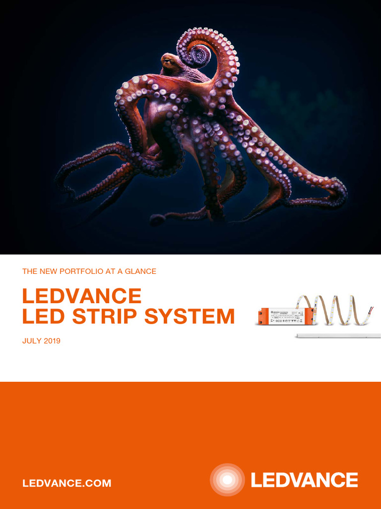 LDV Strip System | PDF