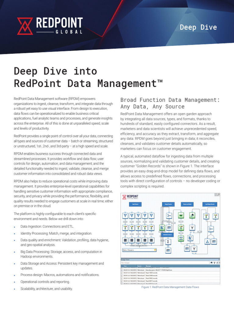 Deepdive RPDM | PDF
