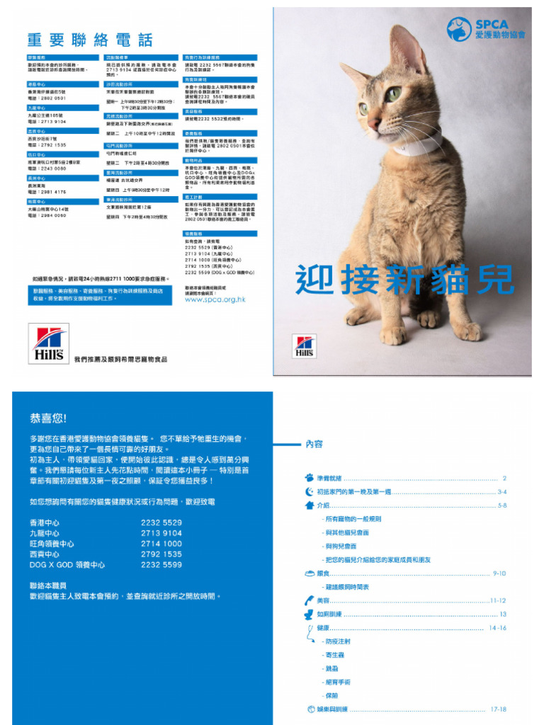 Cat Booklet Chi | PDF