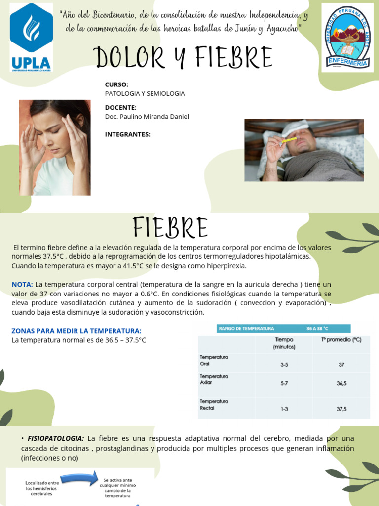 Fiebre y Dolor | PDF