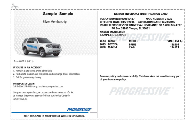 Vehicle Insurance Card Documentplug PDF | PDF