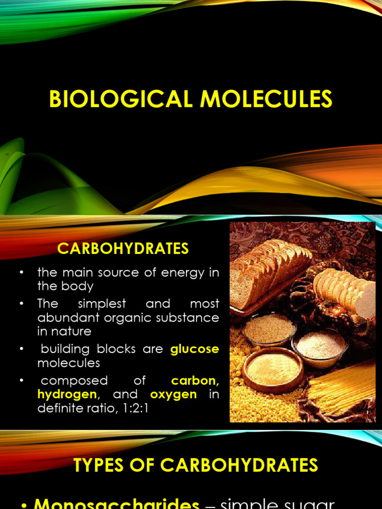 Biological Molecules | PDF