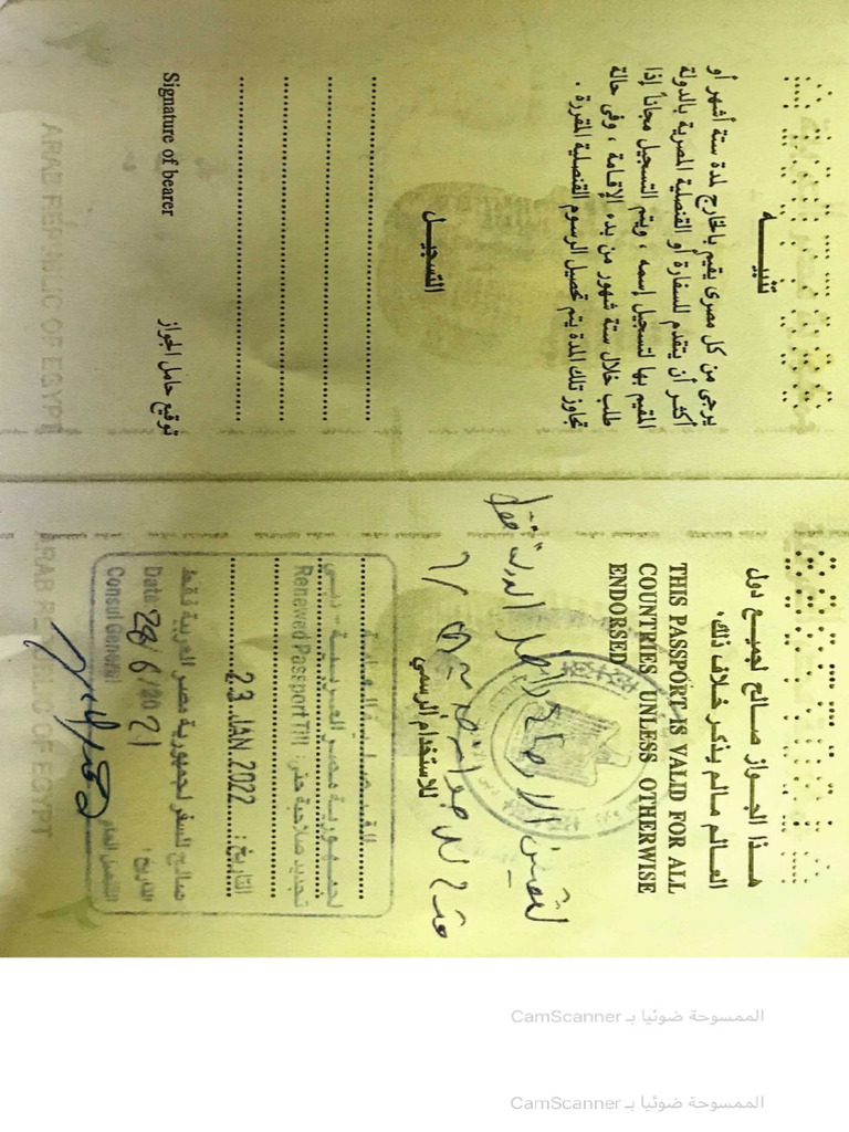 Renal Sayed Passport | PDF