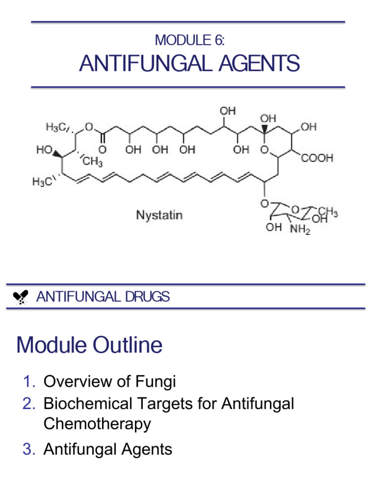6 Antifungal Agents | PDF
