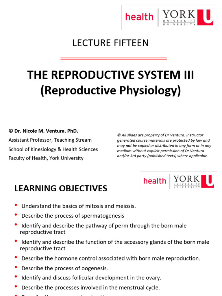 L15 - The Reproductive System III (Reproductive Physiology) | PDF