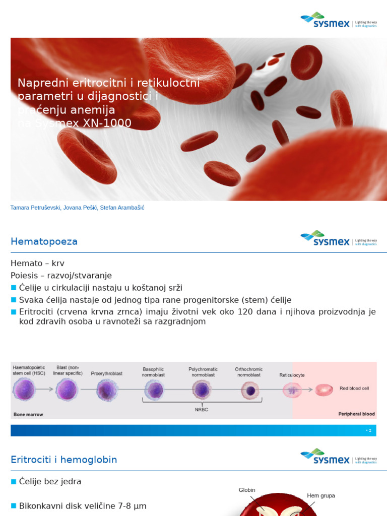 Sysmex - Retikulociti | PDF