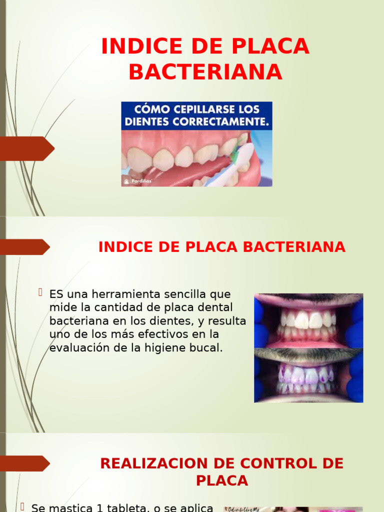 Indice de Placa Bacteriana | PDF
