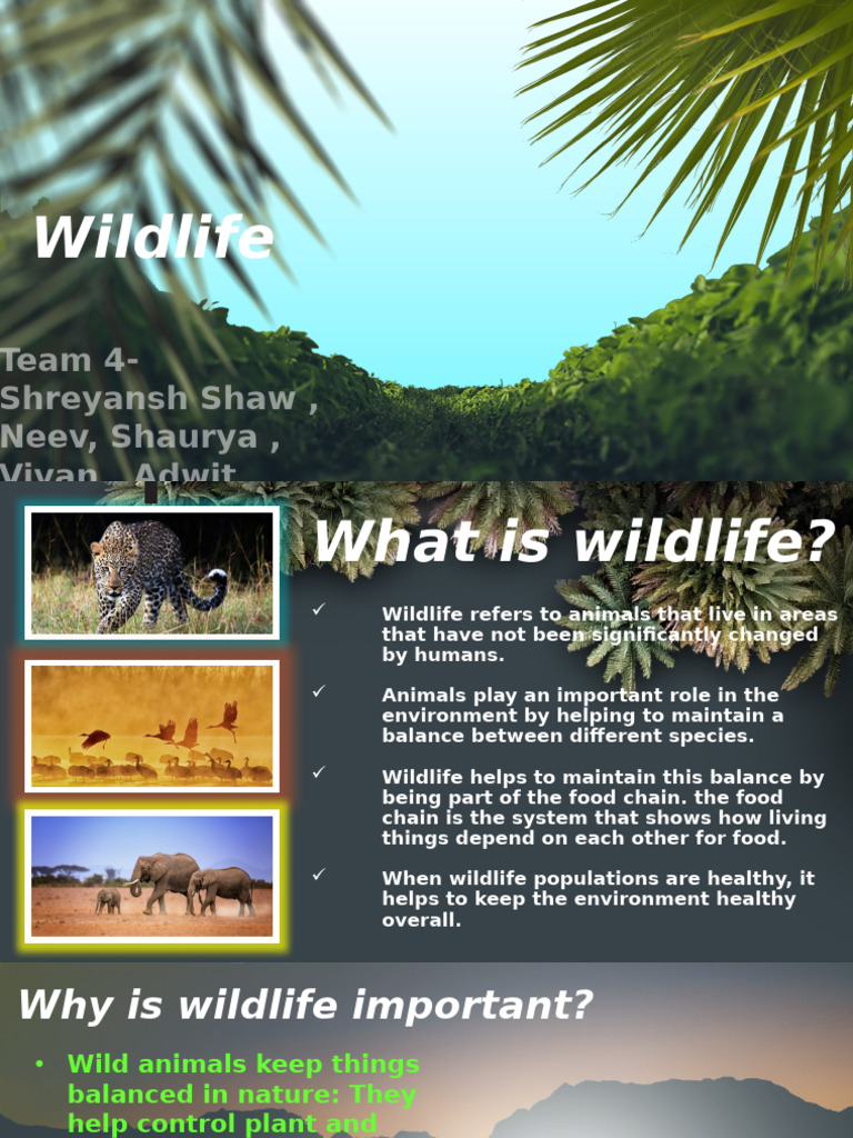 Wildlife | PDF