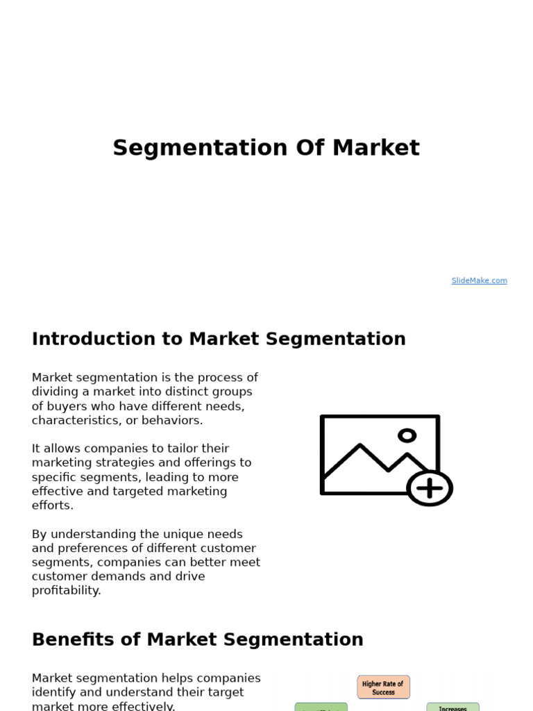 Segmentation of Market | PDF