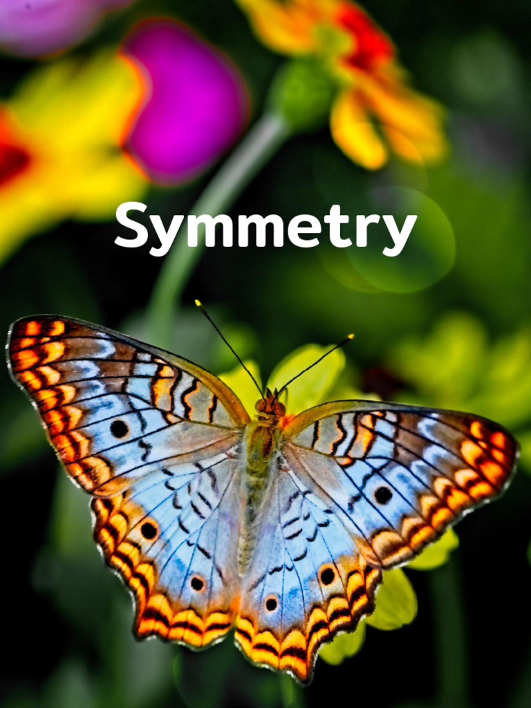 Symmetry in Nature and Art | PDF | Symmetry | Art