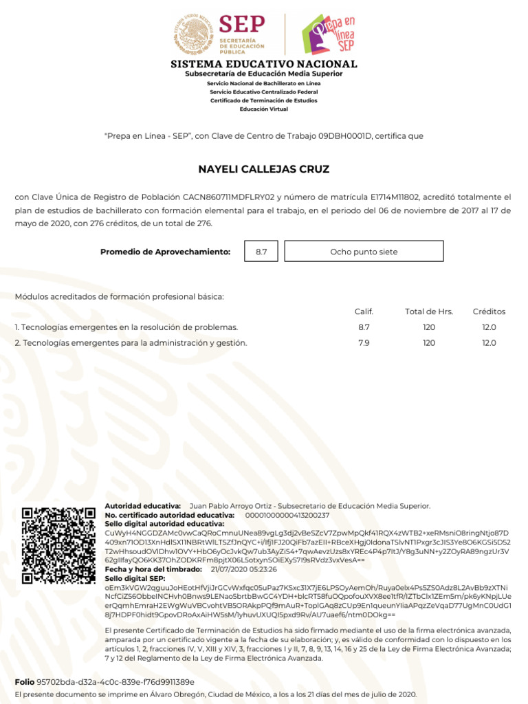 Certificado Final NAYE | PDF