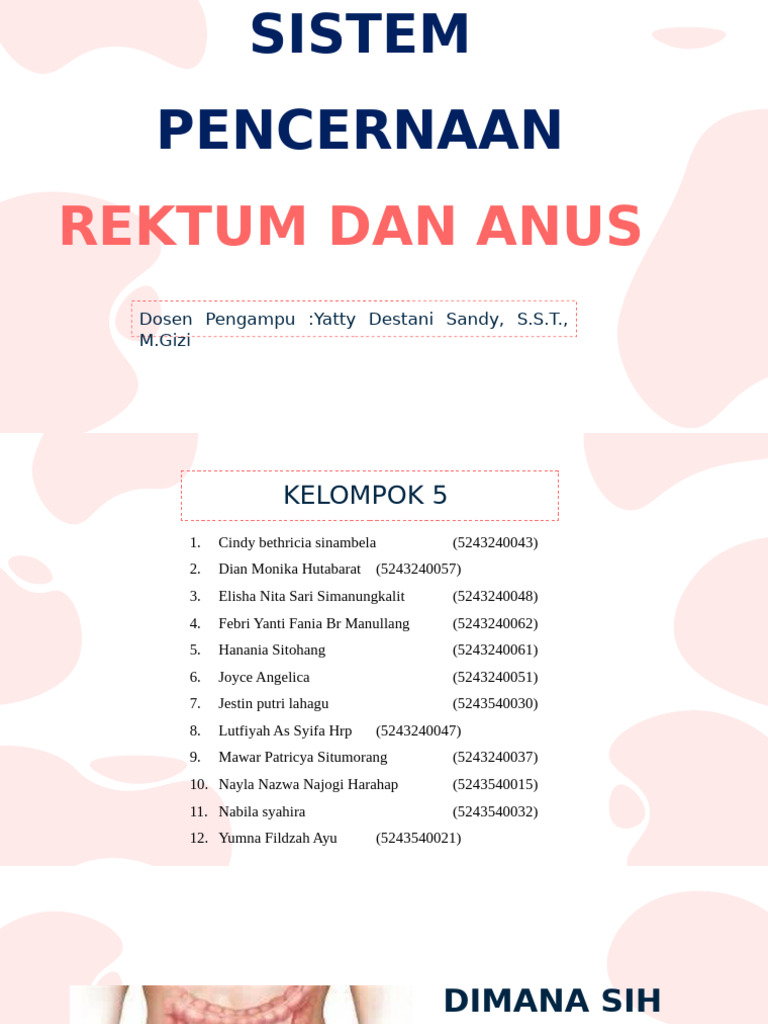 Rektum Dan Anus Pdf