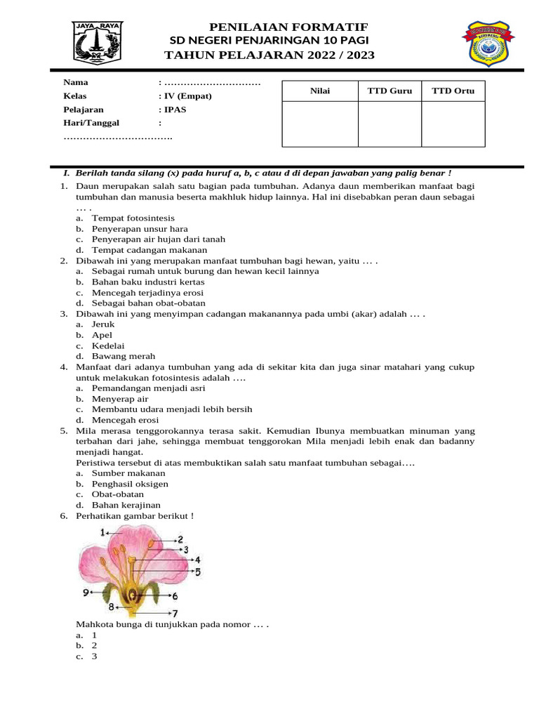 Daun Merupakan Salah Satu Bagian Pada Tumbuhan | PDF