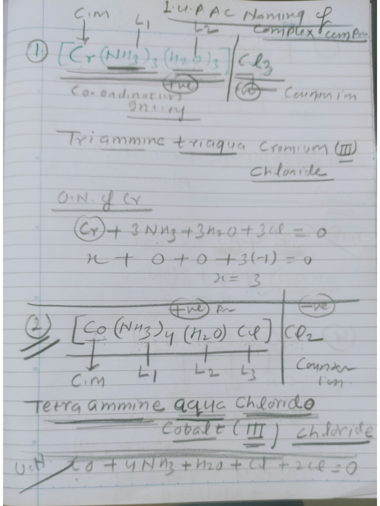 Today's Class Notes | PDF