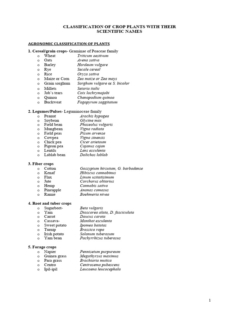 Scientific Name of Crops | PDF