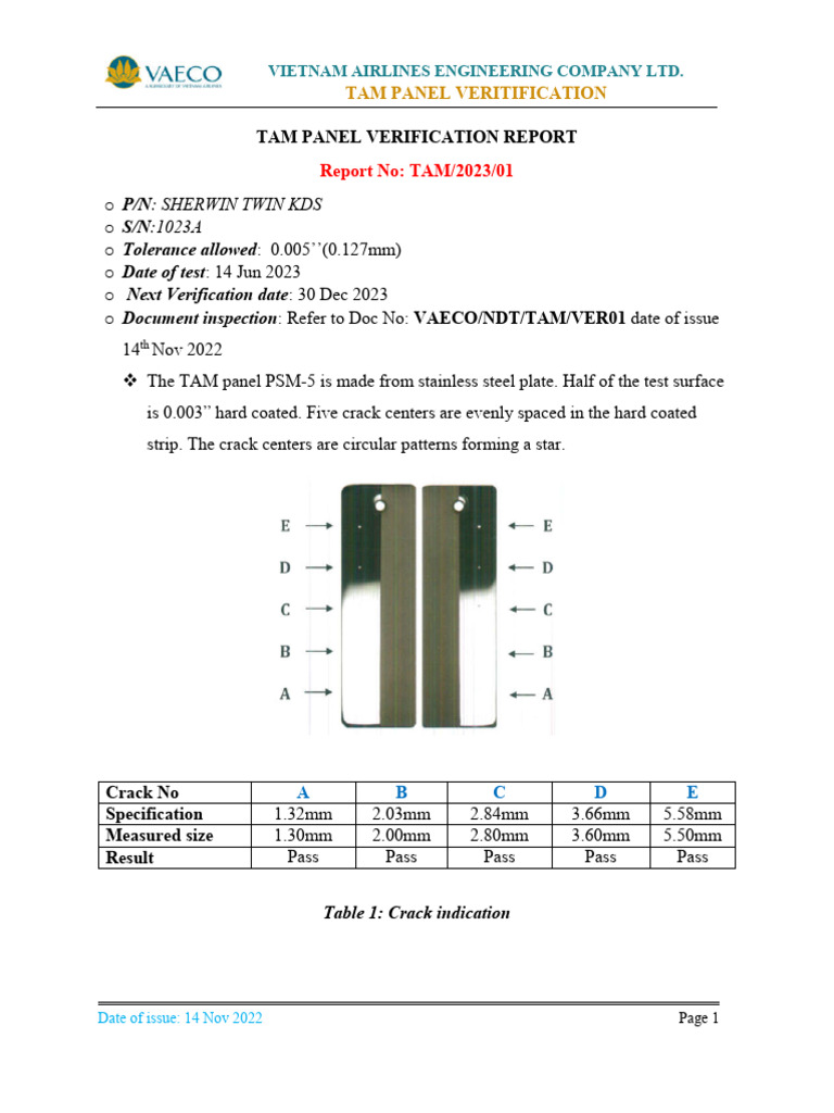 Tam Panel Report 1023 A | PDF