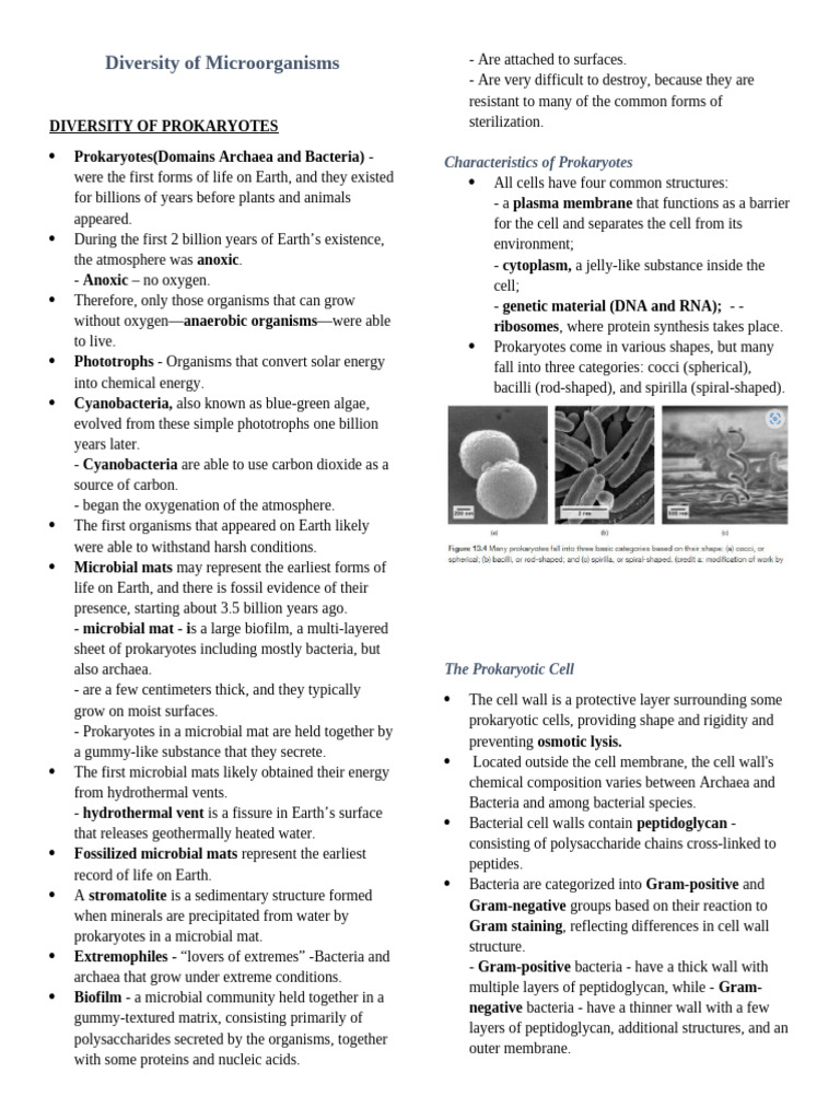 DIversity of Microorganisms | PDF