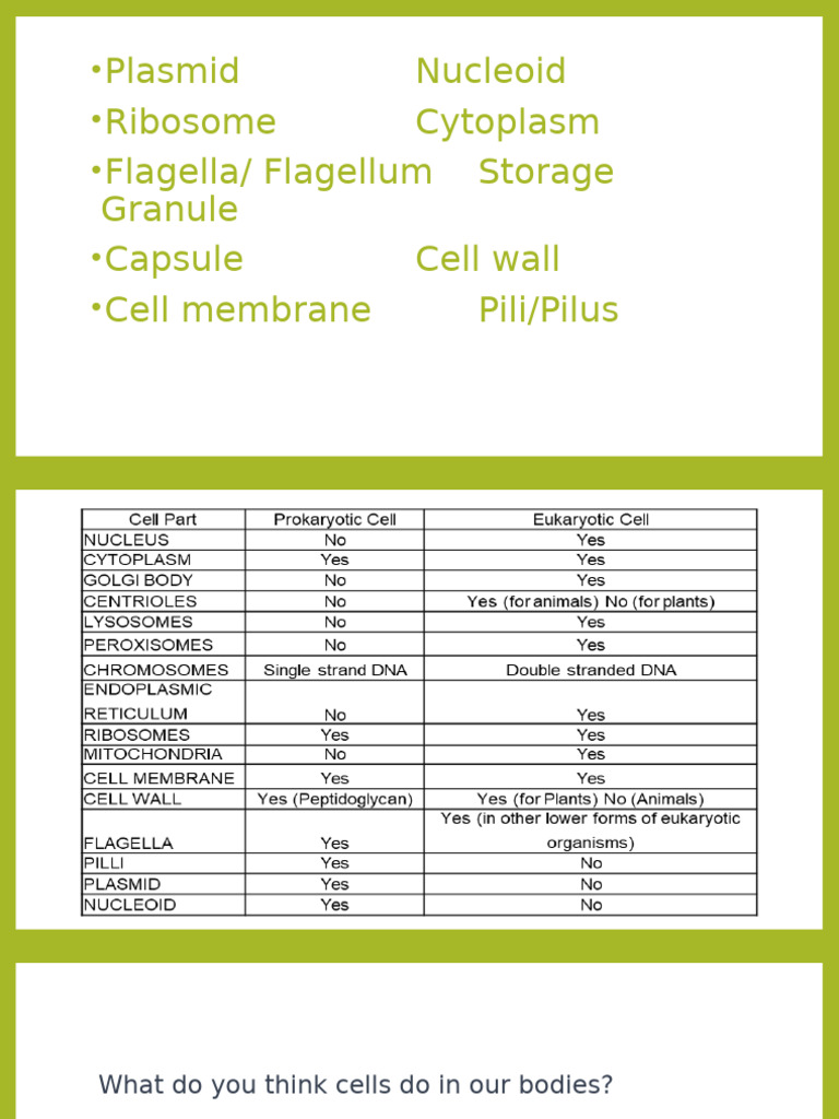 variation-and-structure-of-cell (A PowerPoint) | PDF