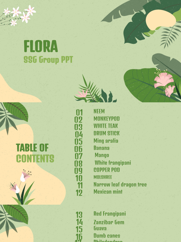 Flora: SSG Group | PDF
