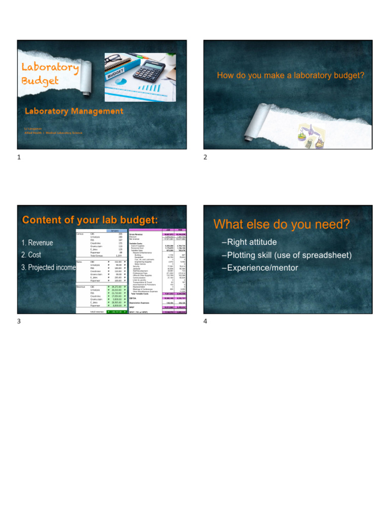 Topic+9 Laboratory+budget | PDF