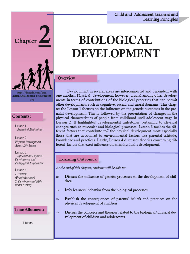 Biological Development in Children | PDF | Pregnancy | Prenatal Development