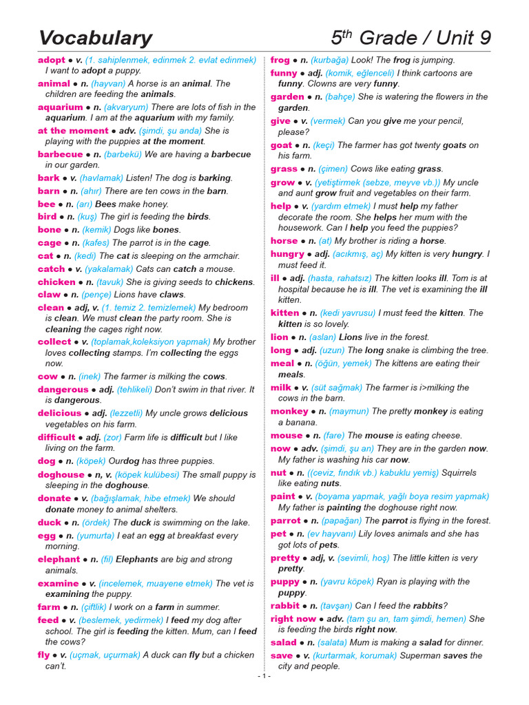 5CLASS Vocabulary List Unit9 | PDF