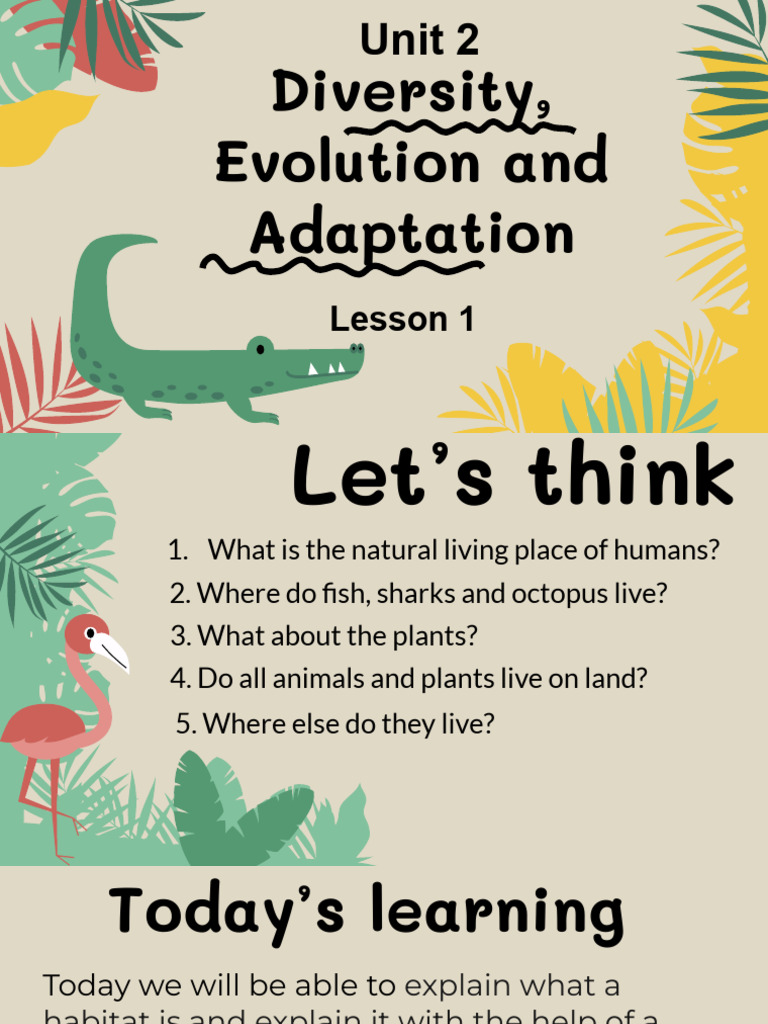 Unit 2 Diversity, Evolution and Adaptation 3 | PDF
