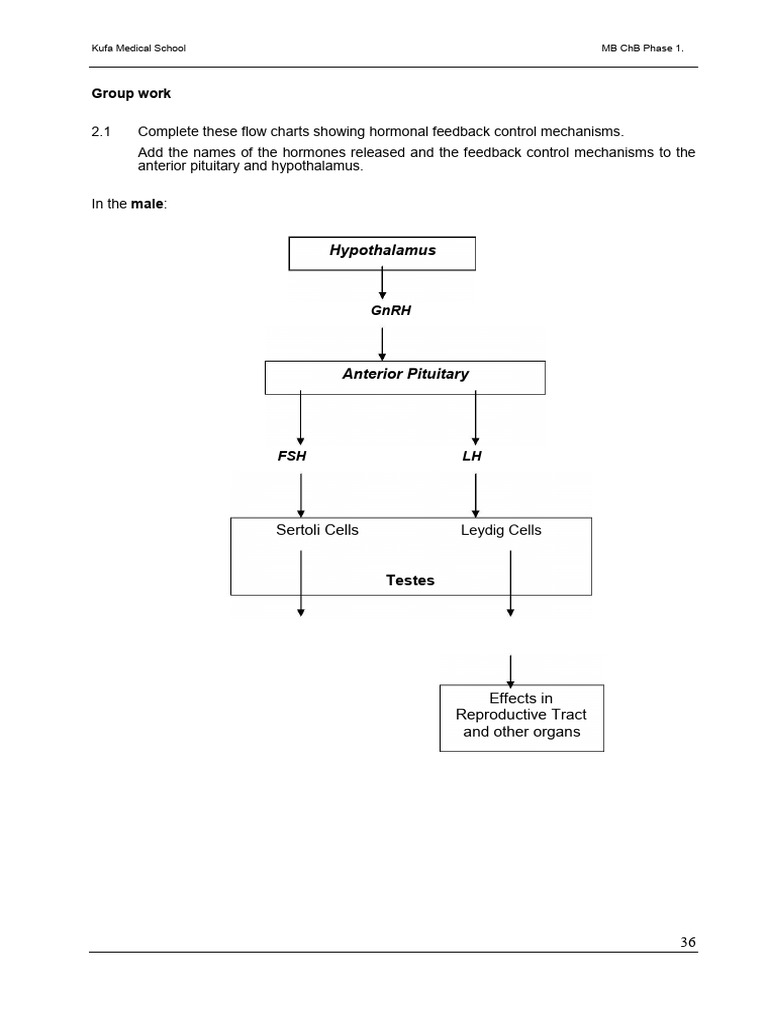 Reproductive - SGD 2 | PDF