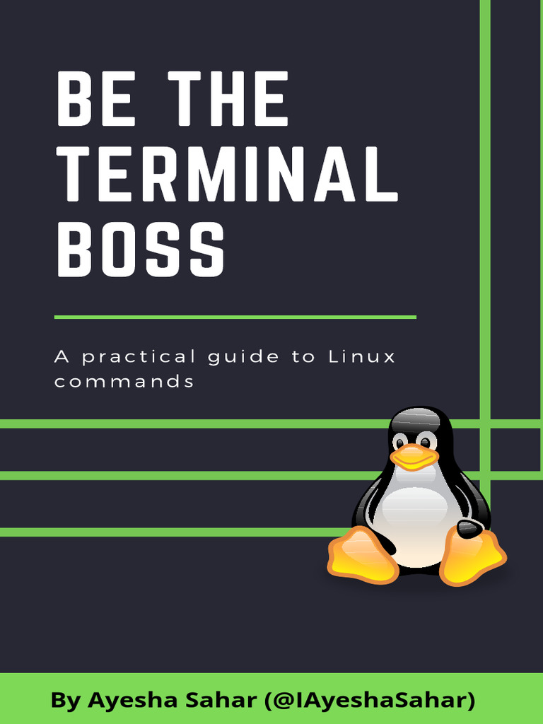 Be The Terminal Boss - A Practical Guide To Linux Commands | PDF