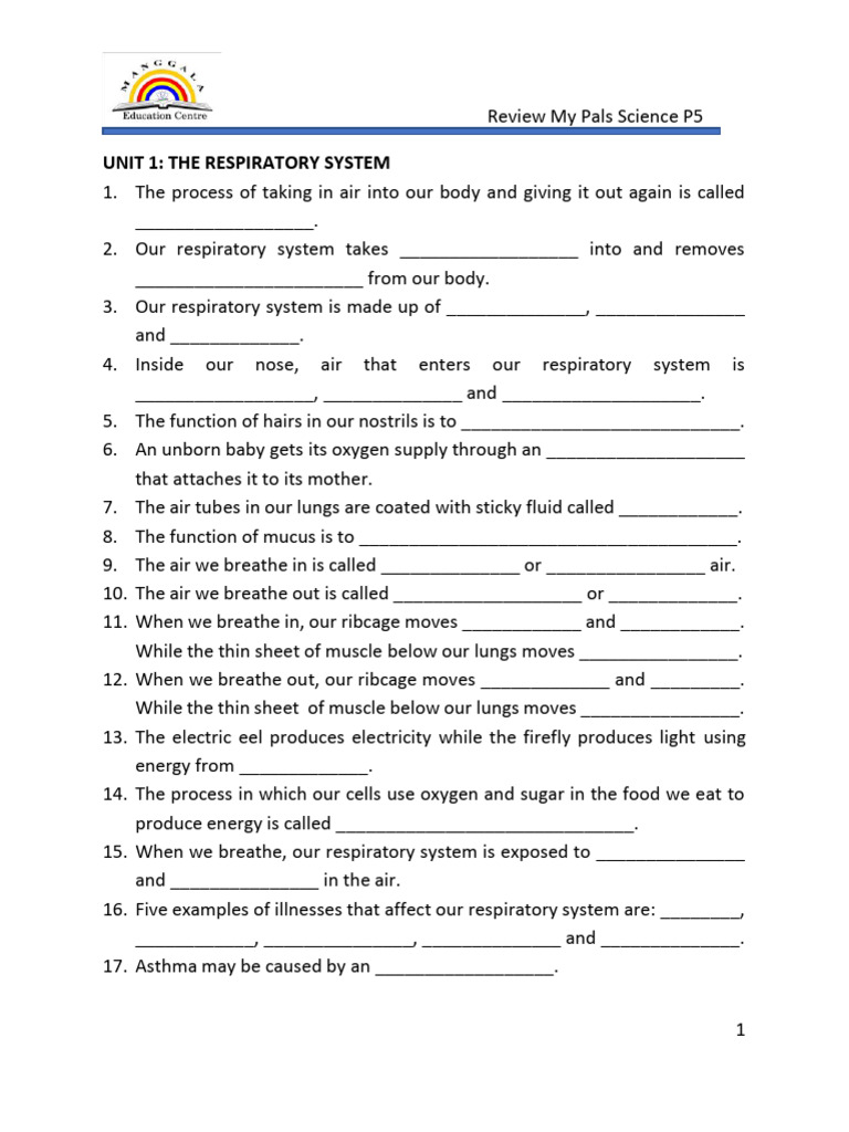 Unit 1 The Respiratory System - Questions | PDF