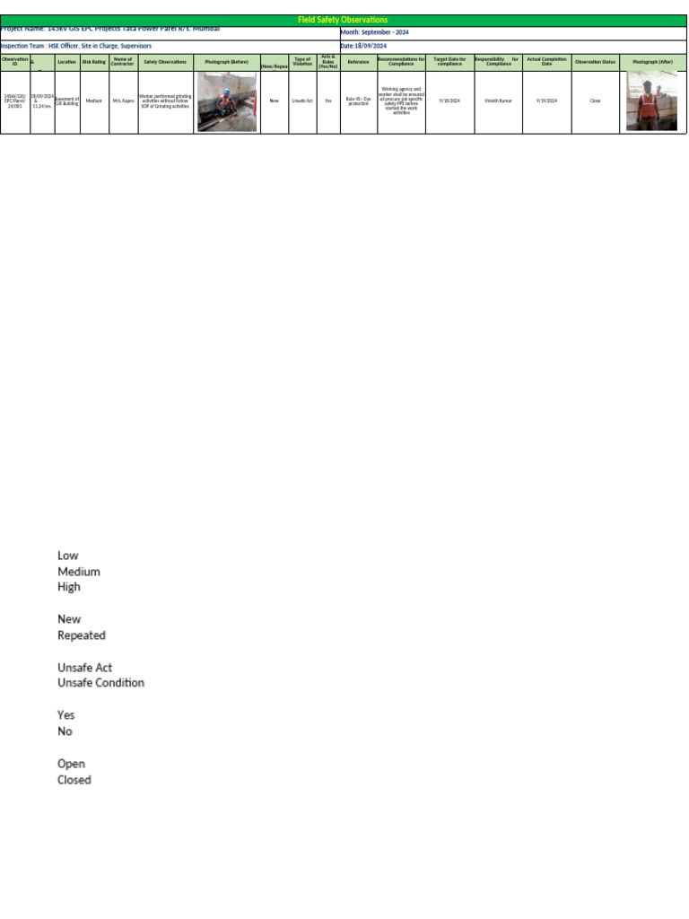 Updated Safety Observation | PDF