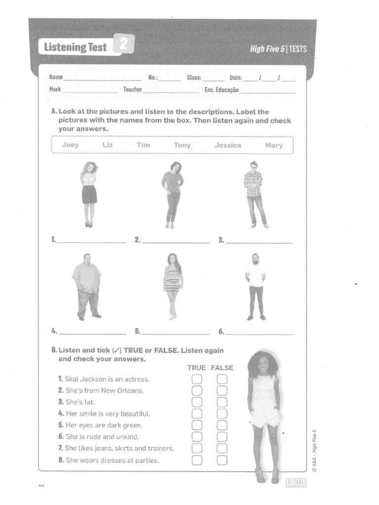 High5 Test Physical Description | PDF