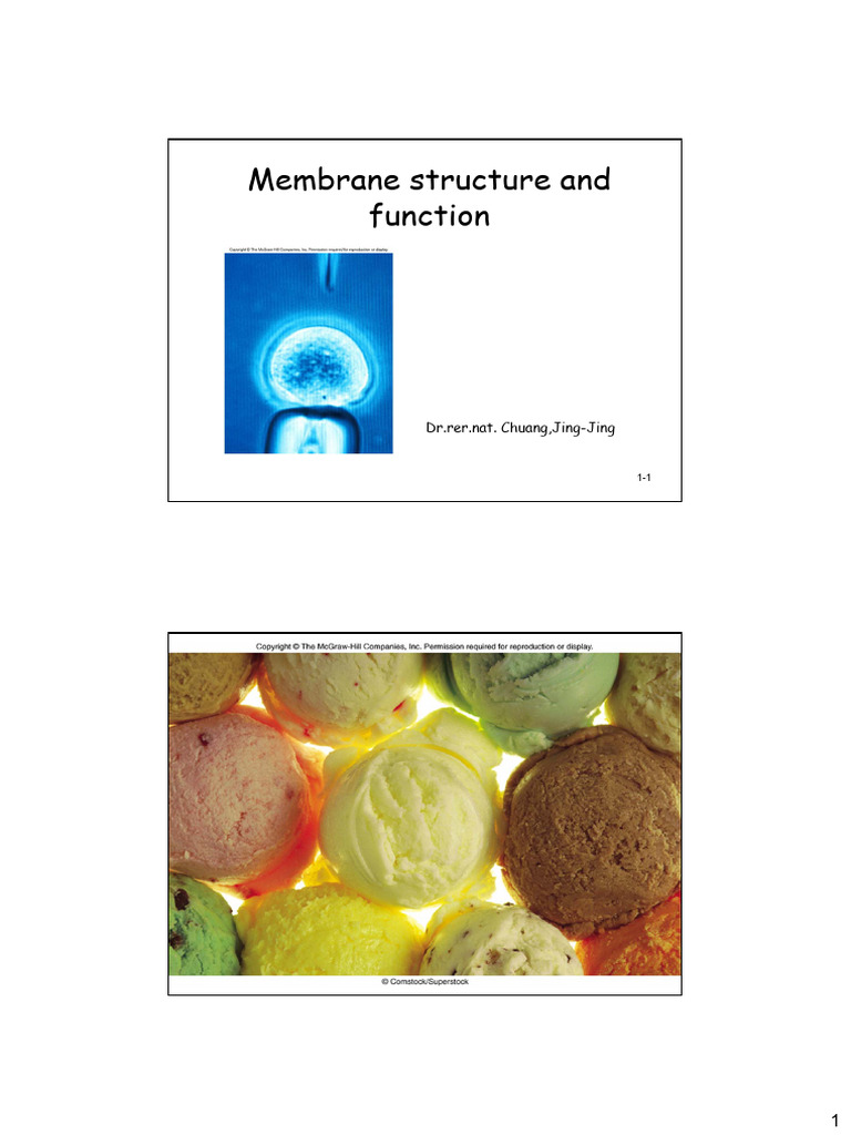 Membrane Structure and Function | PDF