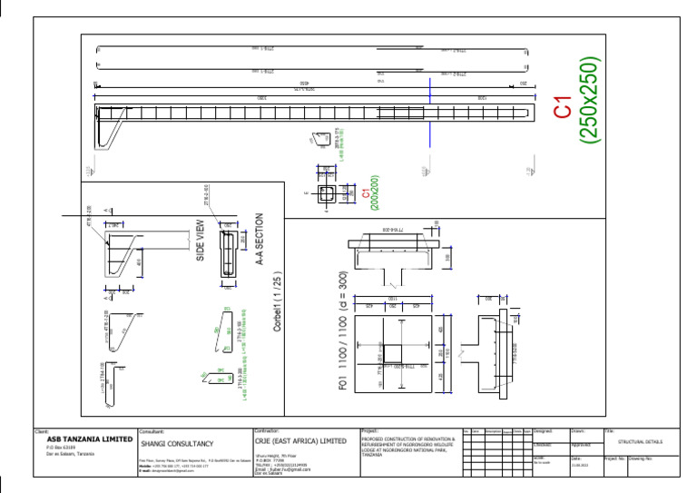 Struct - Column Details | PDF