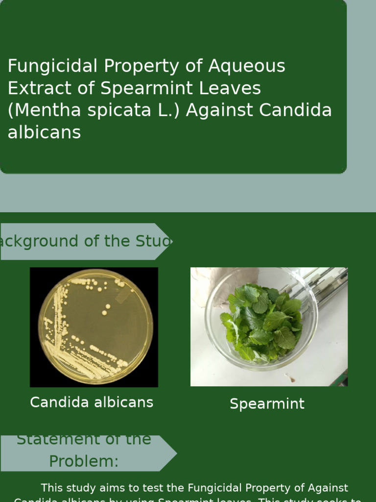 Fungicidal Property of Aqueous Extract of Spearmint Leaves (Mentha Spicata L.) Against Candida ...